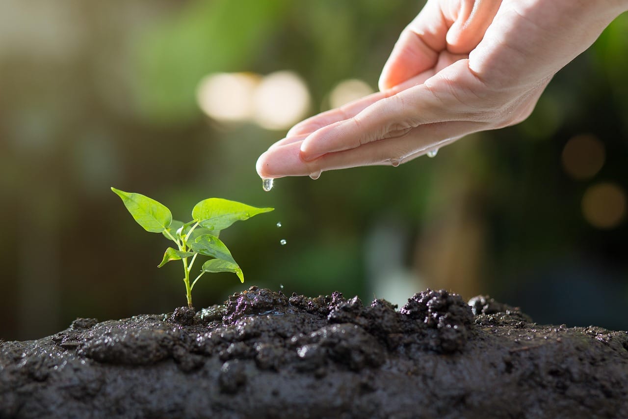 World Soil Day – what can we do to protect our soil? - Atlantic Pumps